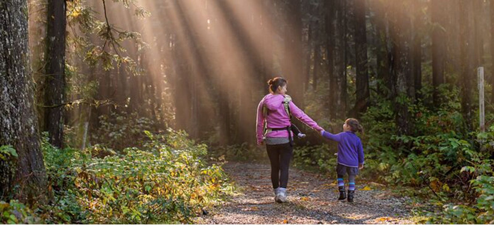 Relevant Life Plan | Business Protection | TruLife